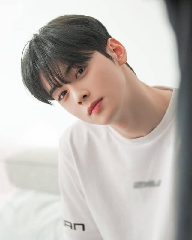 Biệt danh "Nunu" của Cha Eun Woo: Nguồn gốc và ý nghĩa thân mật? | AI ...