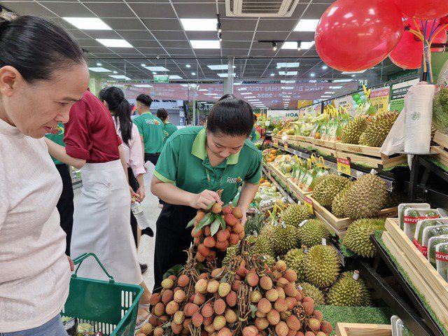 Co.op+ đang hình thành những mô hình bán lẻ nào của Saigon Co.op? | AI ...