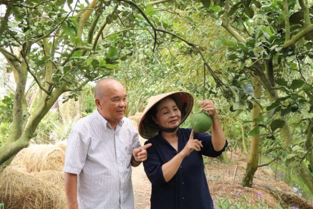 trữ lượng lúa của Việt Nam ở đồng bằng sông Cửu Long mỗi năm là bao ...