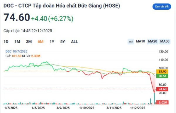 Tại sao cổ phiếu DGC lại giảm như vậy | AI Hay - Hỏi ngay đáp hay